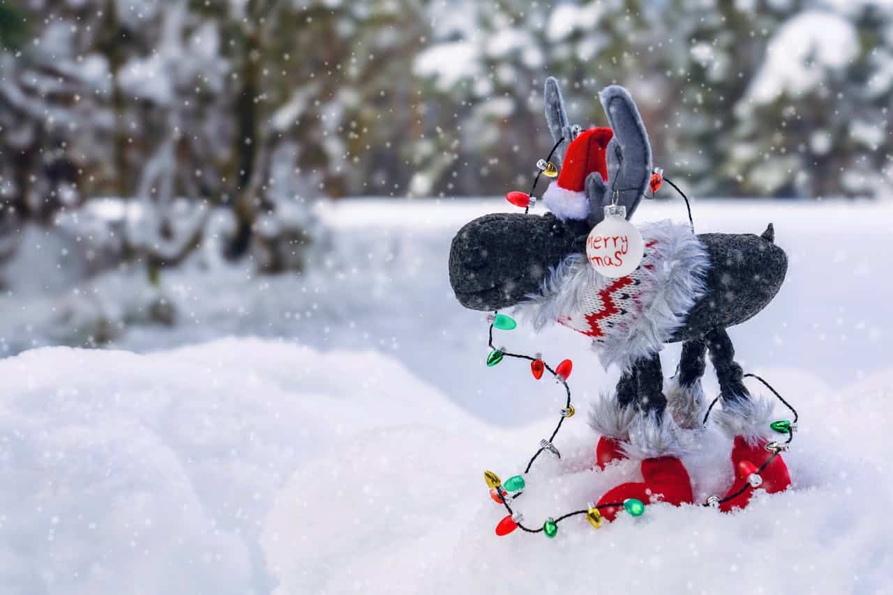 Fêter Noël : les meilleures destinations - Mashpedia